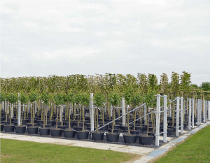 Substrates - Jiffy SA